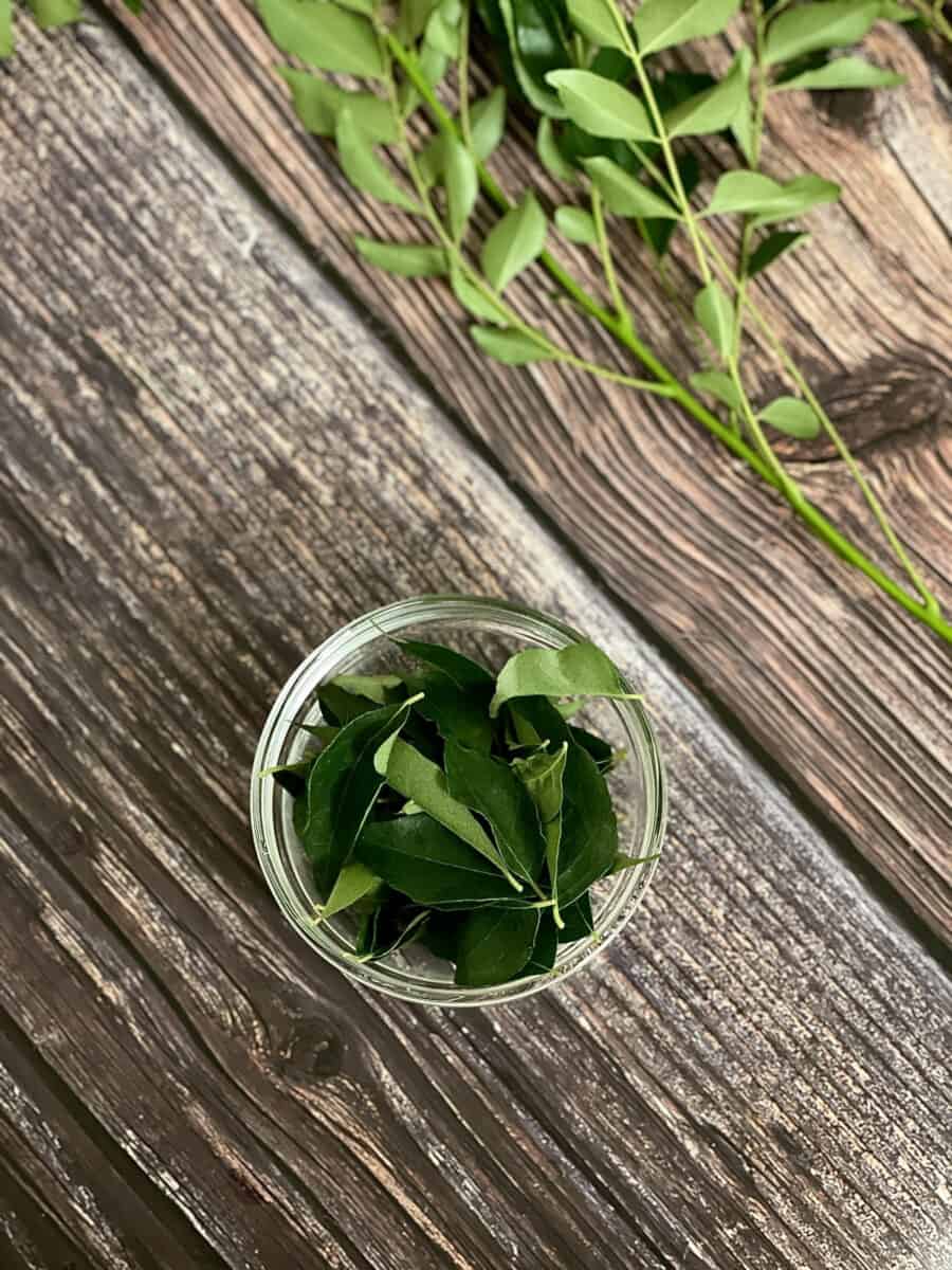 How to Freeze Fresh Curry Leaves (Kadi Patta) — Love Incredible Recipes